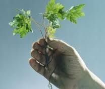 De Interés | Perito Informático y Tecnológico – PeritoIT